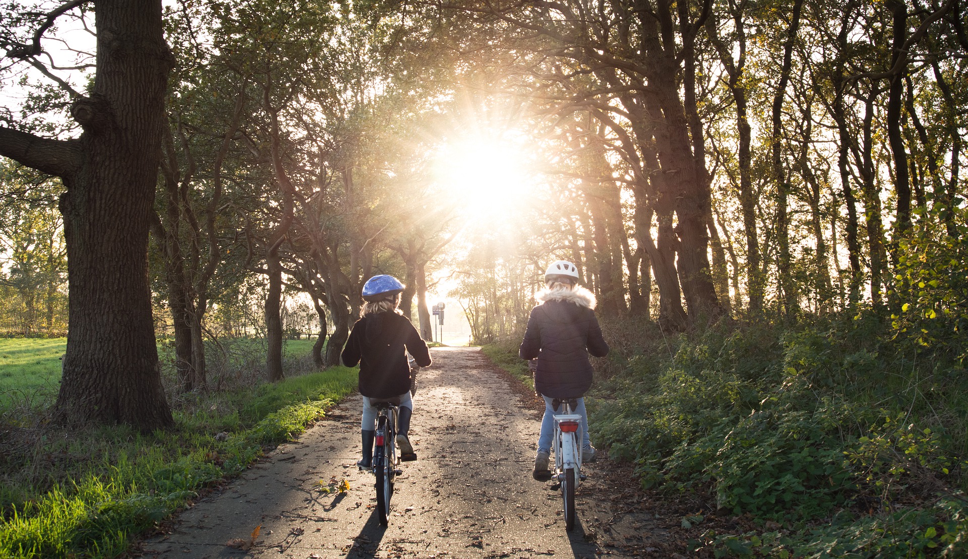 There Is An Elevated Bike Path for Cycling Through the Trees