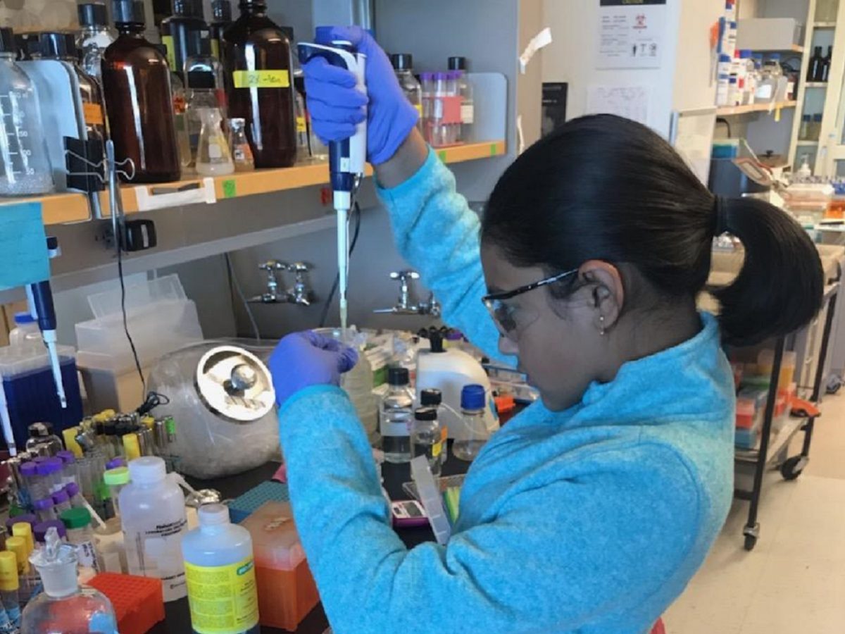 Who is Gitanjali Rao, TIME’s Kid of the Year? | NewsHub.co.uk